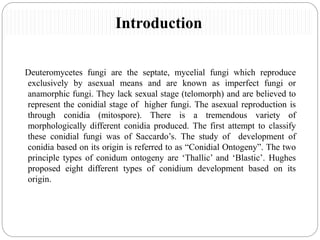 Conidial ontogeny akanksha | PPTX