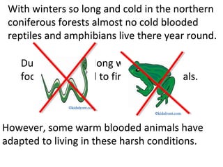 Northwestern Coniferous Forest Climate Graph