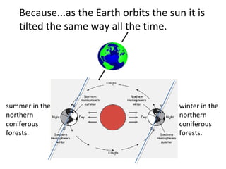 Northwestern Coniferous Forest Climate Graph