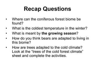 Coniferous Forest Biome | PPT | Woodworking | Arts and Crafts