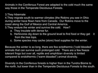 Coniferous forests biome | PPT