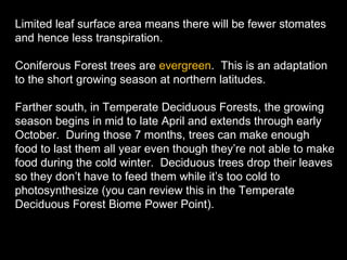Coniferous forests biome | PPT