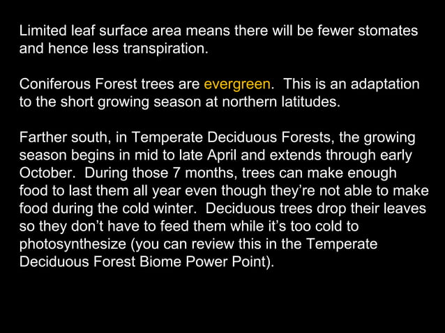 Coniferous forests biome | PPT