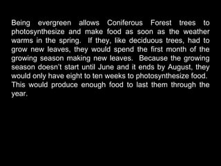 Coniferous forests biome | PPT