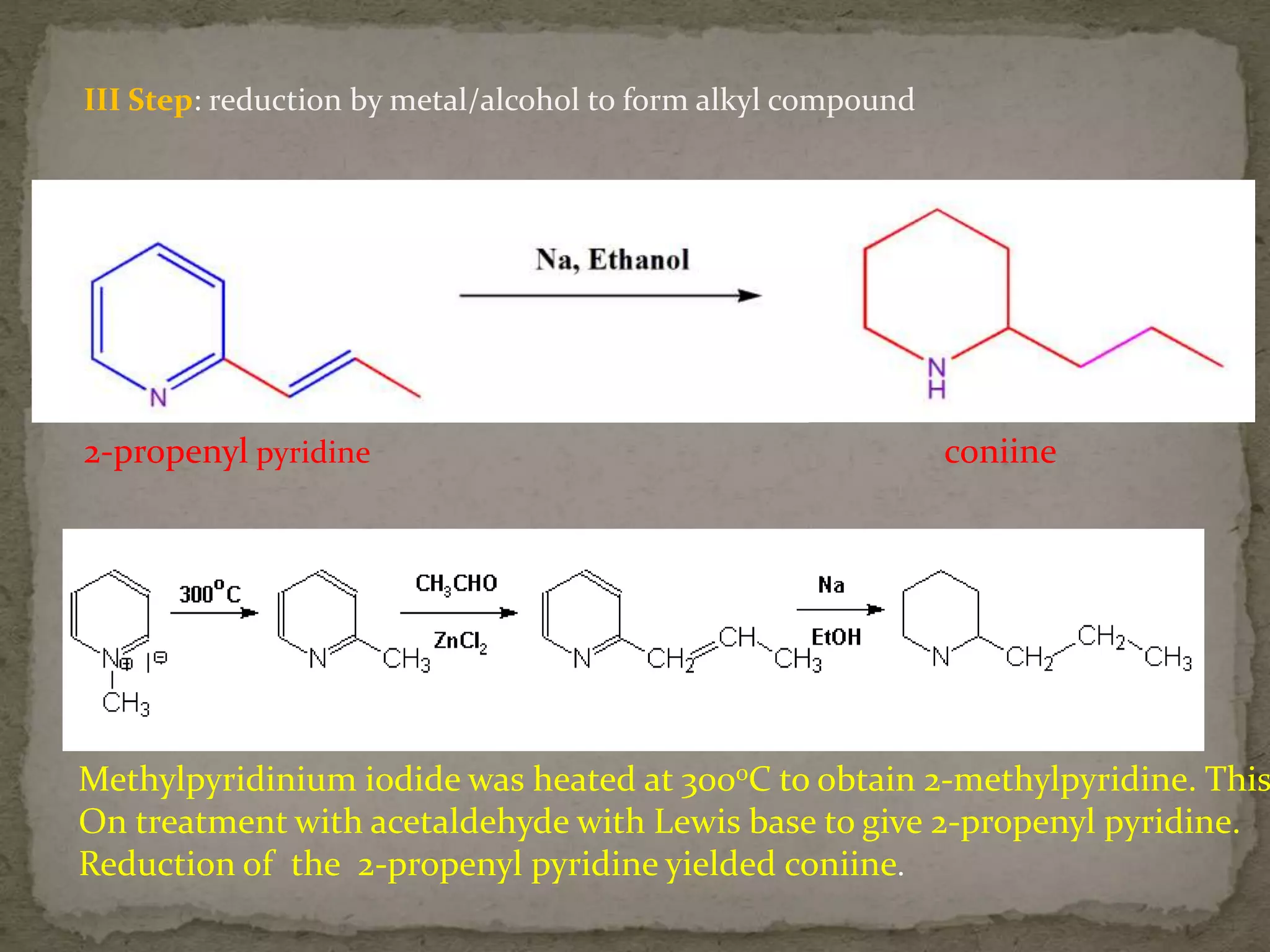 Coniine - Structural elucidation | PPTX