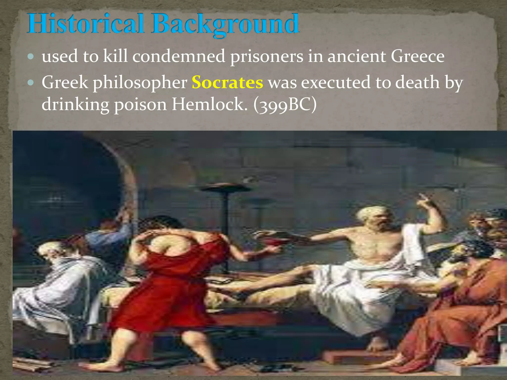 Coniine - Structural elucidation | PPTX