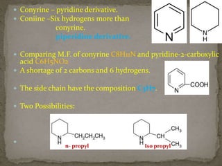 Coniine - Structural elucidation | PPTX