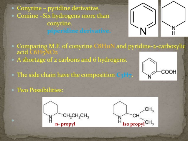 Coniine - Structural elucidation | PPTX