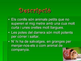 Conill | PPT