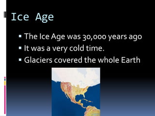 Coni Power Point Mrs Wasmen | PPT