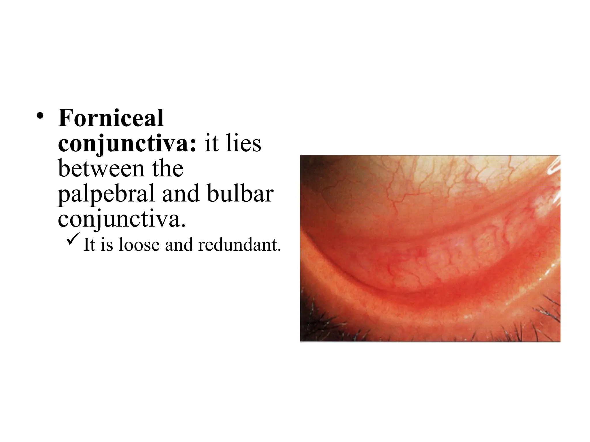 Conjunctival and corneal injuries are most common ophthalmologic issues ...