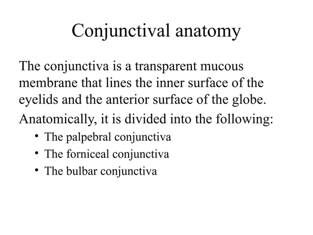 Conjunctival and corneal injuries are most common ophthalmologic issues ...