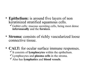 Conjunctival and corneal injuries are most common ophthalmologic issues ...