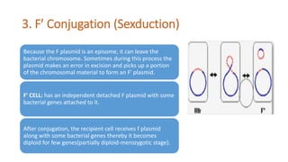 Conjuagtion types and application | PPTX