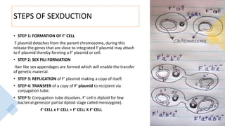 Conjuagtion types and application | PPTX