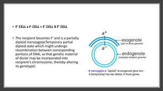 Conjuagtion types and application | PPTX