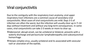 CONJUCTIVITIS of the human eye for certificate nurses | PPTX