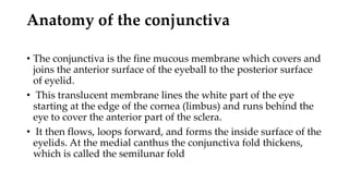 CONJUCTIVITIS of the human eye for certificate nurses | PPTX