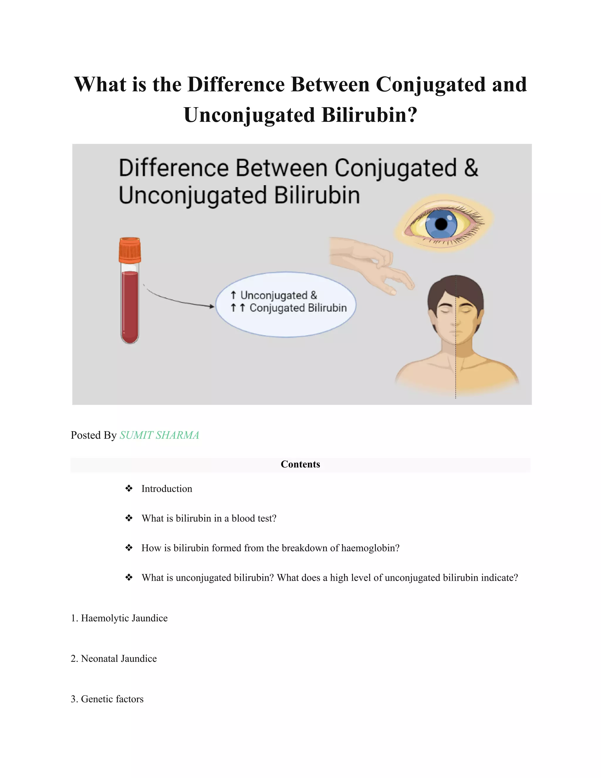 What is the Difference Between Conjugated and Unconjugated Bilirubin? | PDF