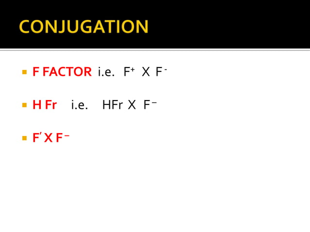 Conjugation | PPTX