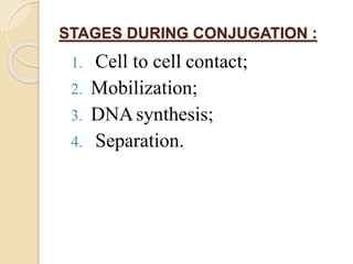 Conjugation | PPT