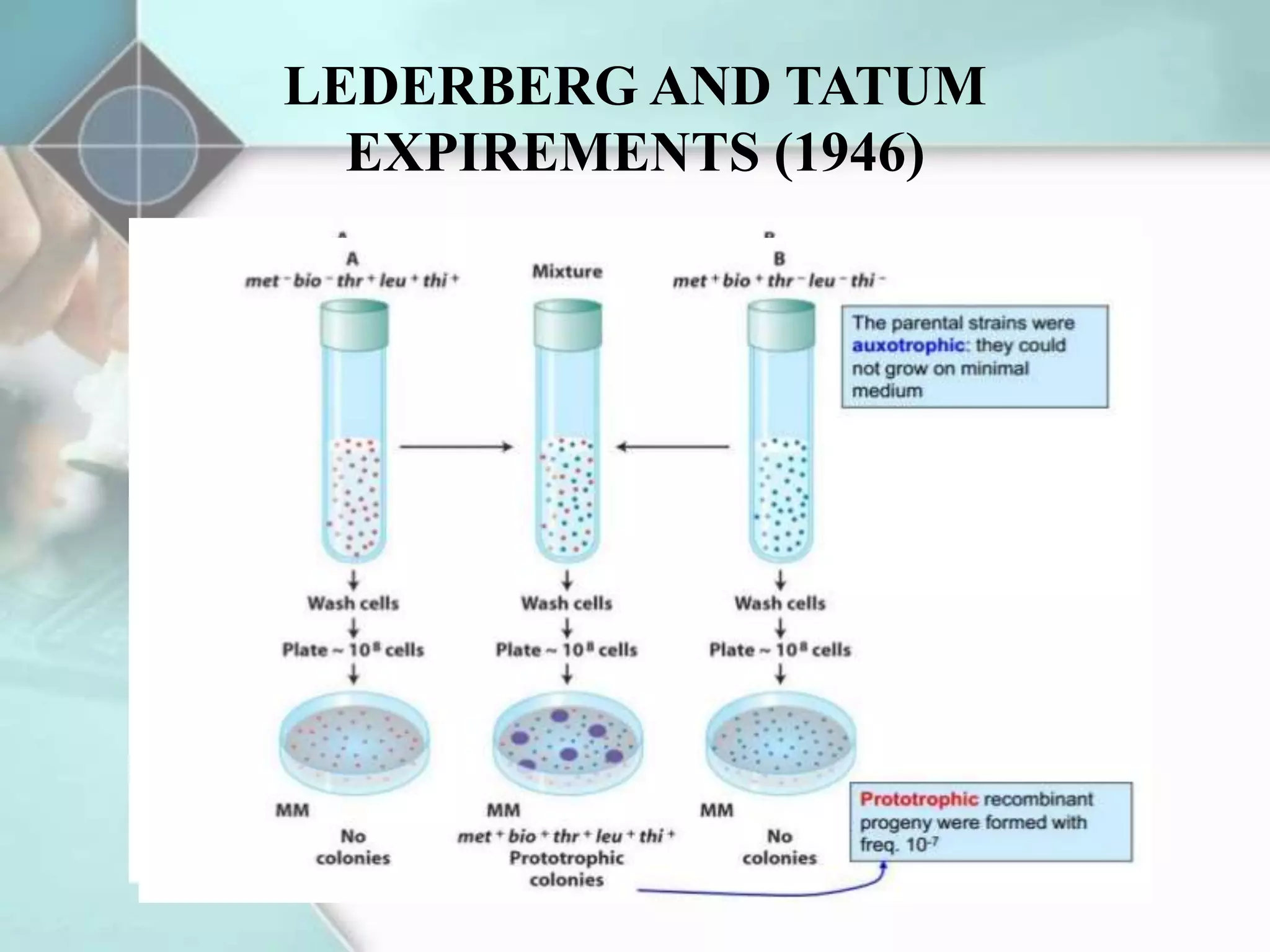 Conjugation: Discovery, F+, F- and Hfr conjugation, F- genetic crosses ...
