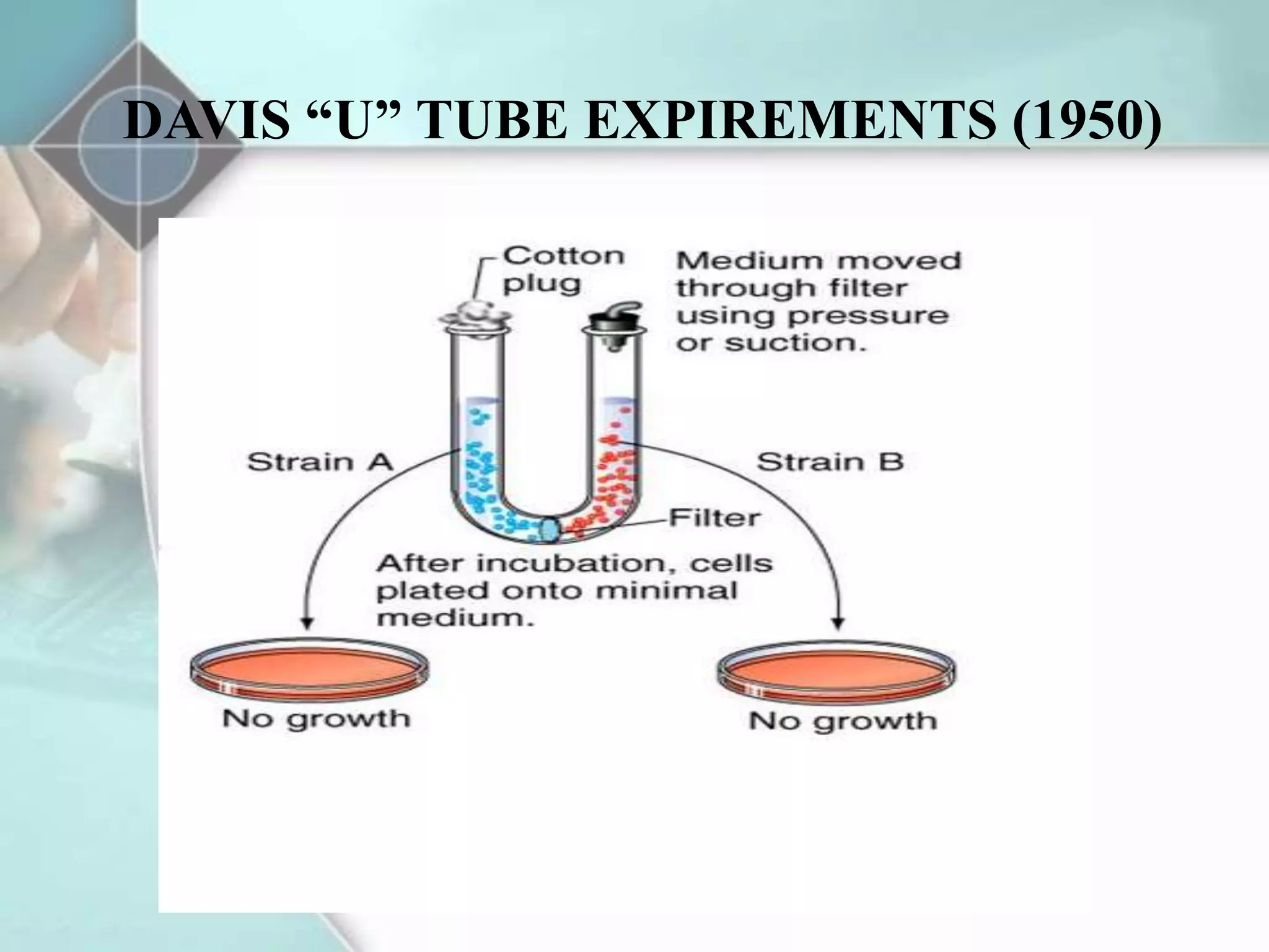 Conjugation: Discovery, F+, F- and Hfr conjugation, F- genetic crosses ...