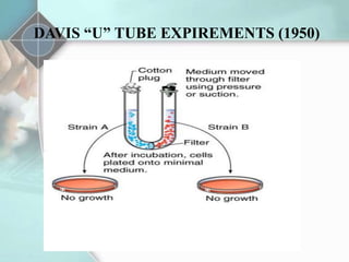 Conjugation: Discovery, F+, F- and Hfr conjugation, F- genetic crosses ...