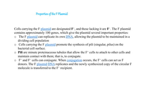 Bacterial Conjugation (Genetic recombination in Bacteria) | PPT