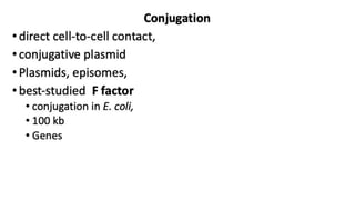 Conjugation.pdf