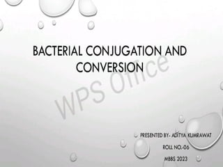 gene Transfer conjugation and conversion.pptx