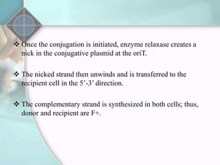 gene Transfer conjugation and conversion.pptx