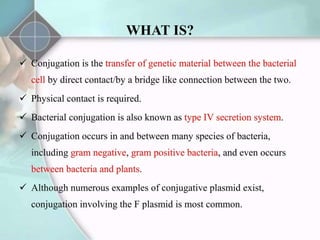 gene Transfer conjugation and conversion.pptx