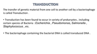 Conjugation and transduction | PPTX