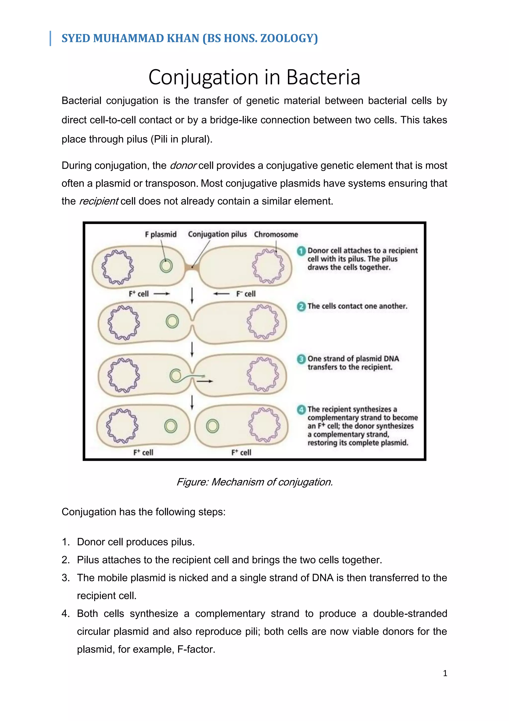 Conjugation in Bacteria | PDF