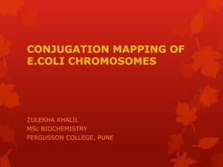 Conjugation mapping | PPTX