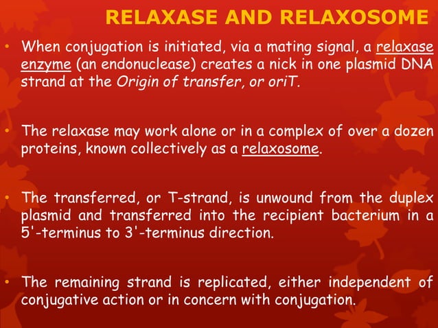 Conjugation mapping | PPTX | Biological Sciences | Science