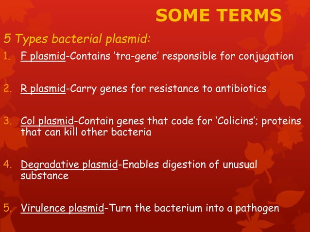 Conjugation mapping | PPTX | Biological Sciences | Science