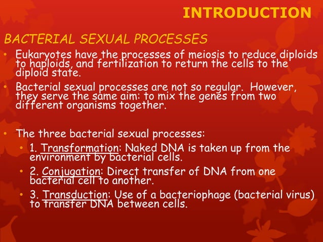 Conjugation mapping | PPTX | Biological Sciences | Science