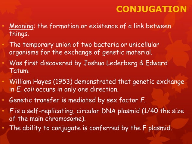 Conjugation mapping | PPTX | Biological Sciences | Science