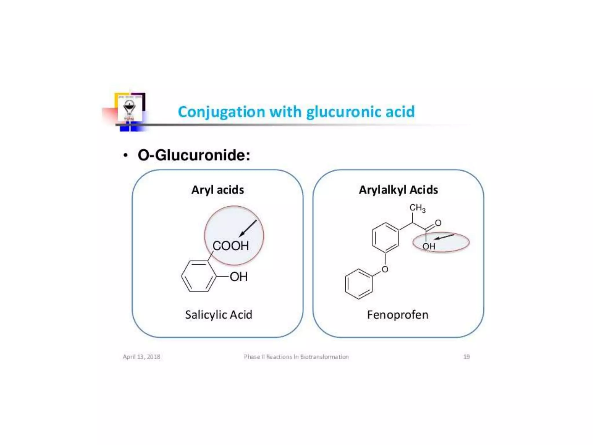 Conjugation reaction phase ii-metabolism,,according to pci syllbus | PPTX