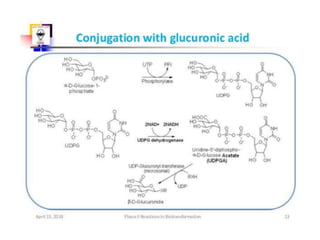 Conjugation reaction phase ii-metabolism,,according to pci syllbus ...