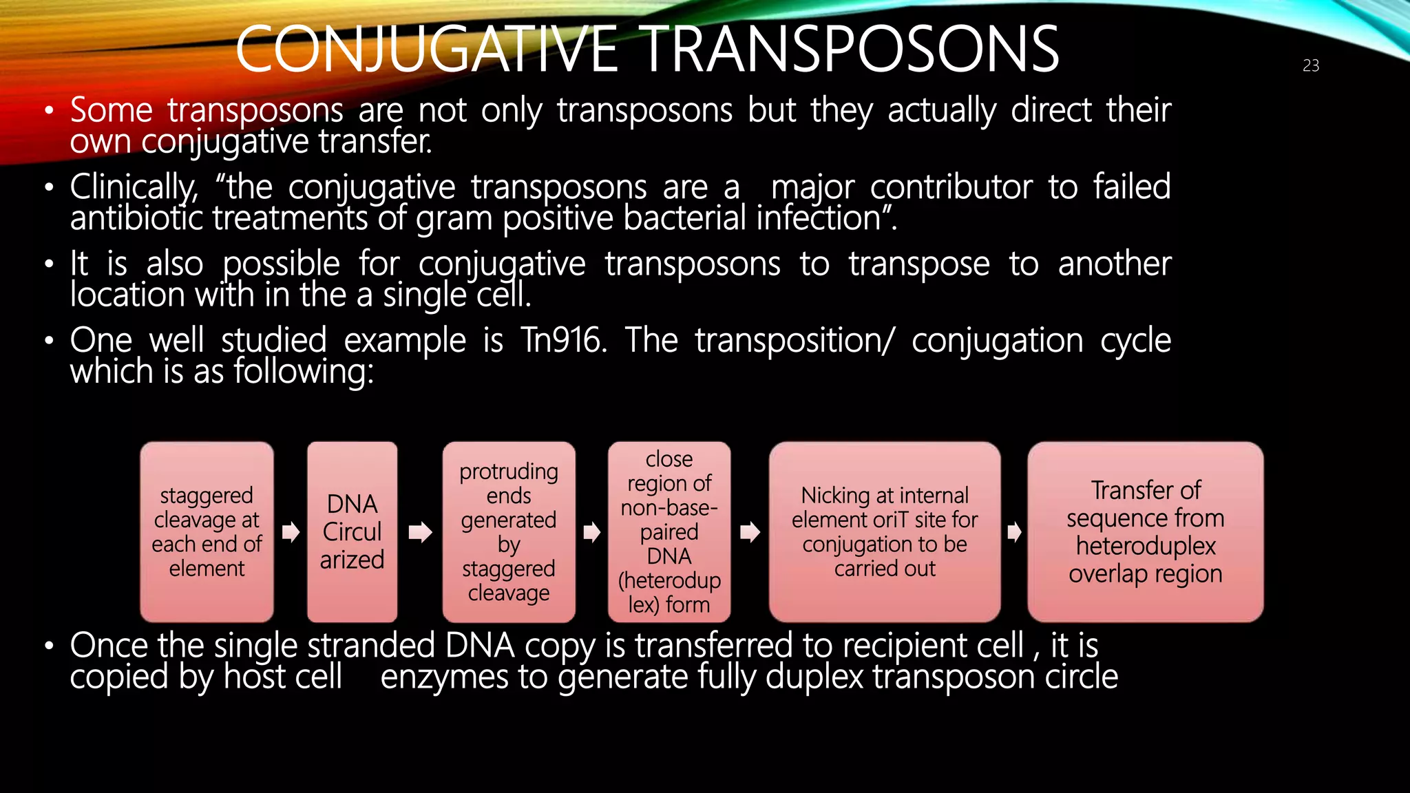 Conjugation, transposition and antibiotic resistance | PPTX
