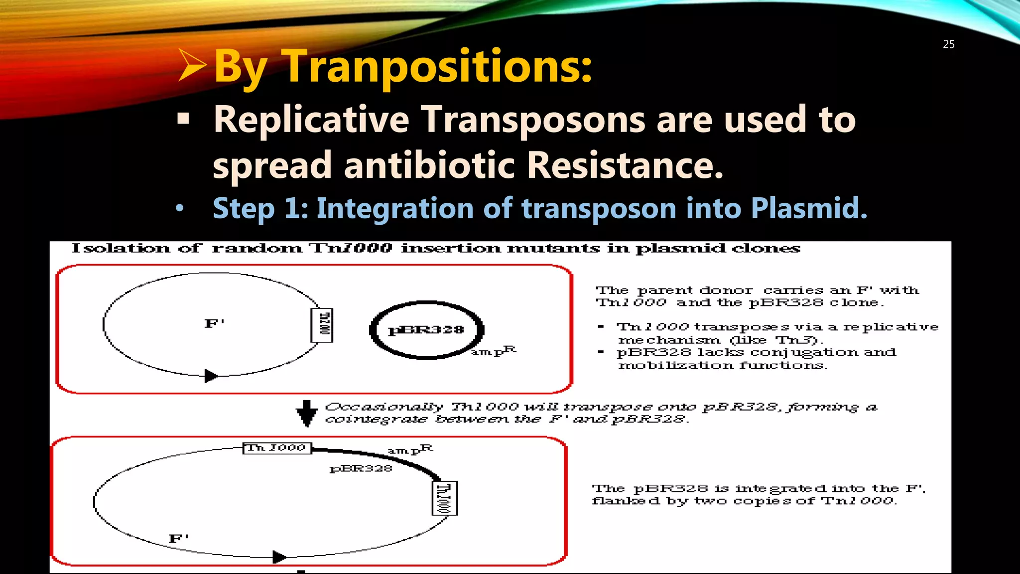 Conjugation, transposition and antibiotic resistance | PPTX