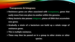 Conjugation, transposition and antibiotic resistance | PPTX ...