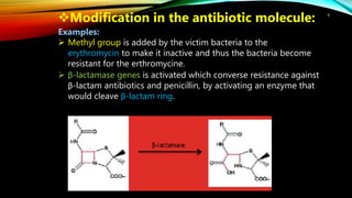 Conjugation, transposition and antibiotic resistance | PPTX ...