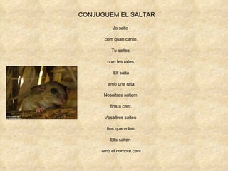 Conjuguem el saltar | PPT