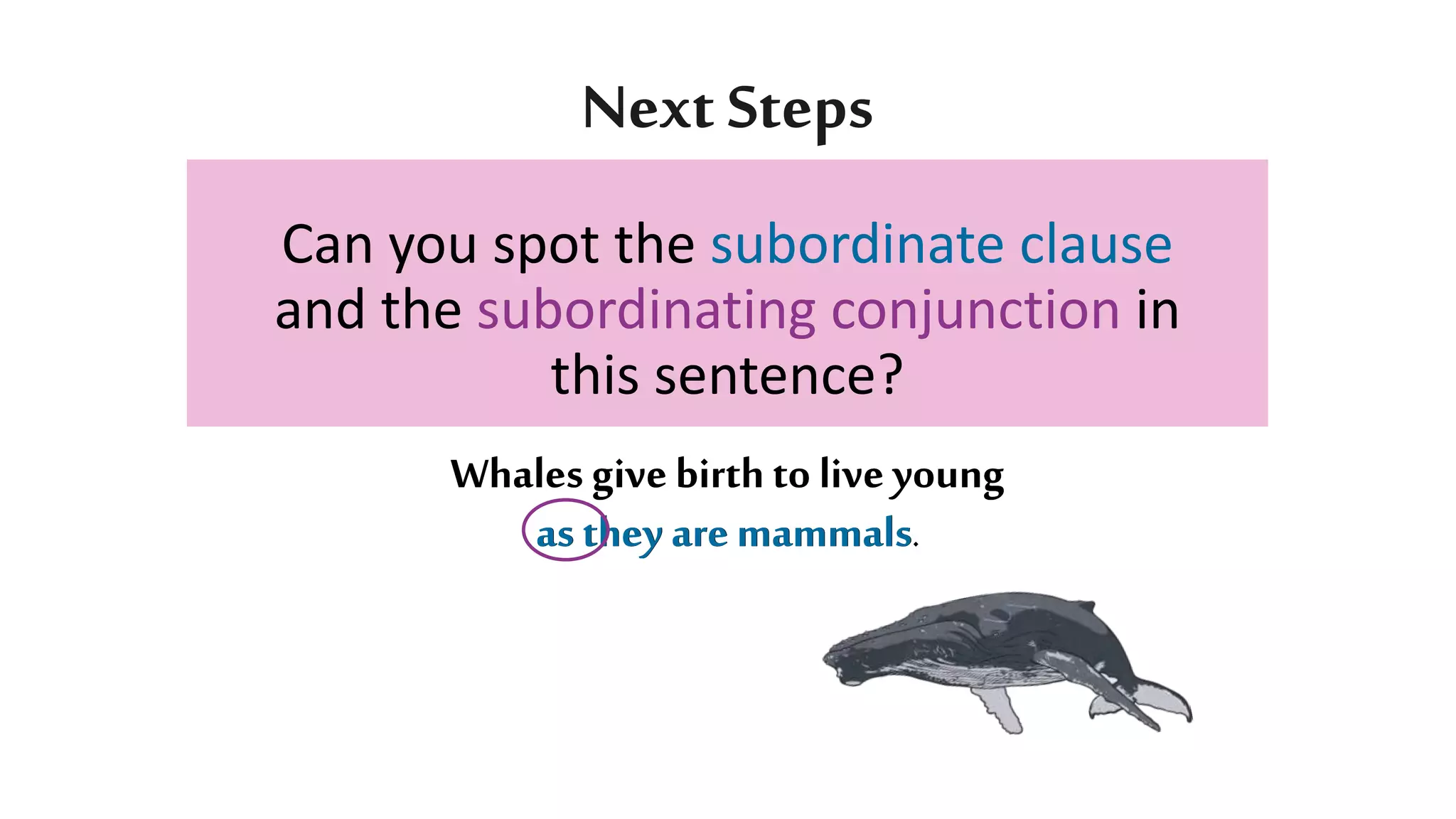CONJUNCTION-SLANG-COLLOQUIALISM.pptx