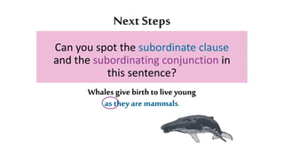 CONJUNCTION-SLANG-COLLOQUIALISM.pptx