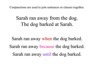 Conjunctions | PPT | Dogs | Pets